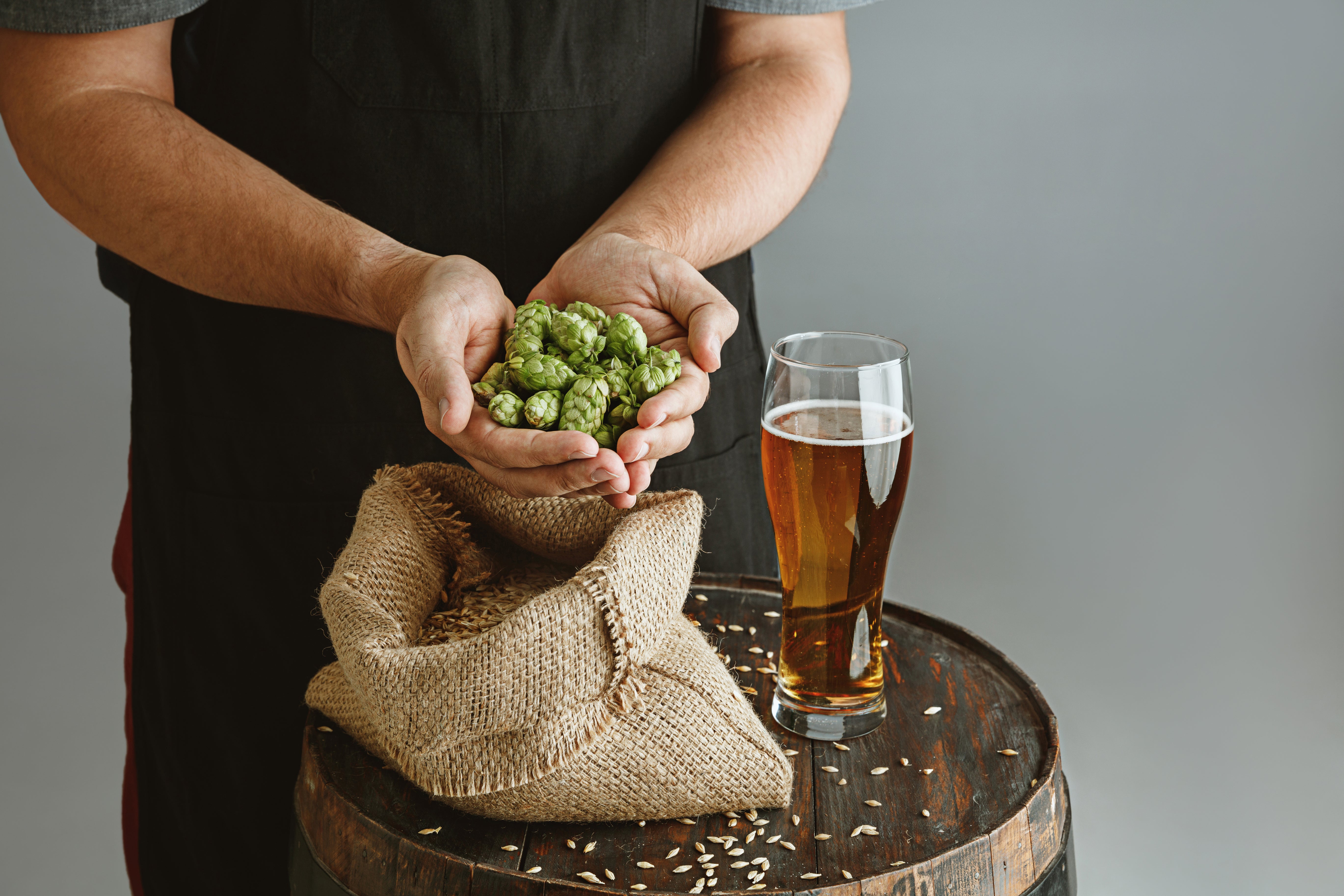 Understanding Different Types of Hops: A Guide for Brewers – Havoc Brew ...