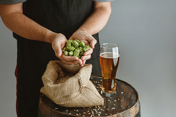 Understanding Different Types of Hops: A Guide for Brewers – Havoc Brew ...