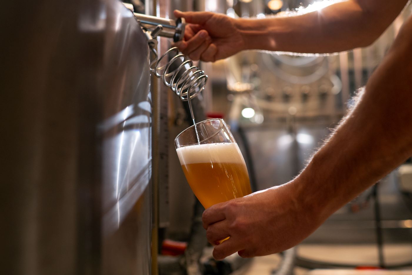 Top Hops Varieties for Craft Beer Brewing – Havoc Brew Supply