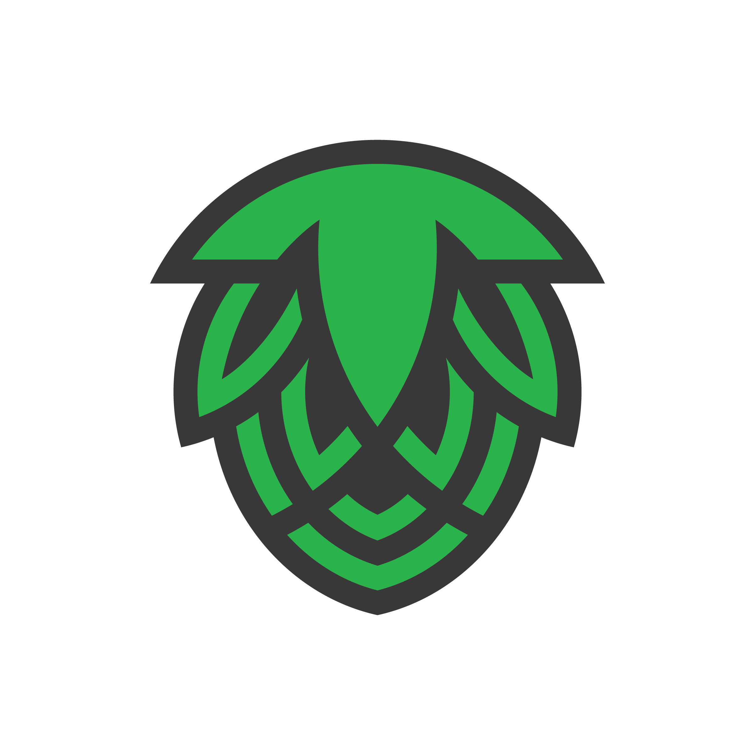 US CTZ 2024 Hops – Havoc Brew Supply