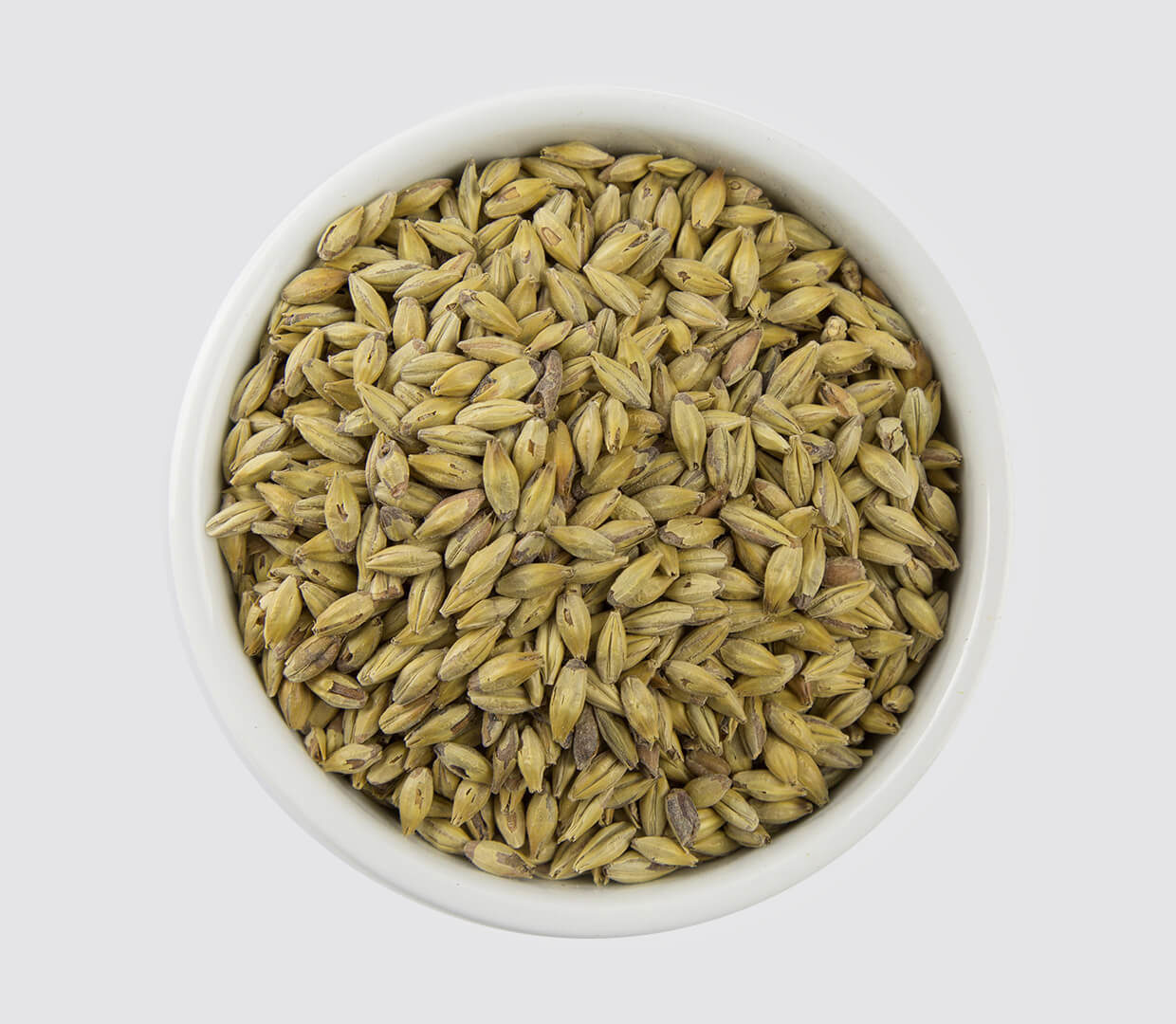 Amber Malt – Havoc Brew Supply