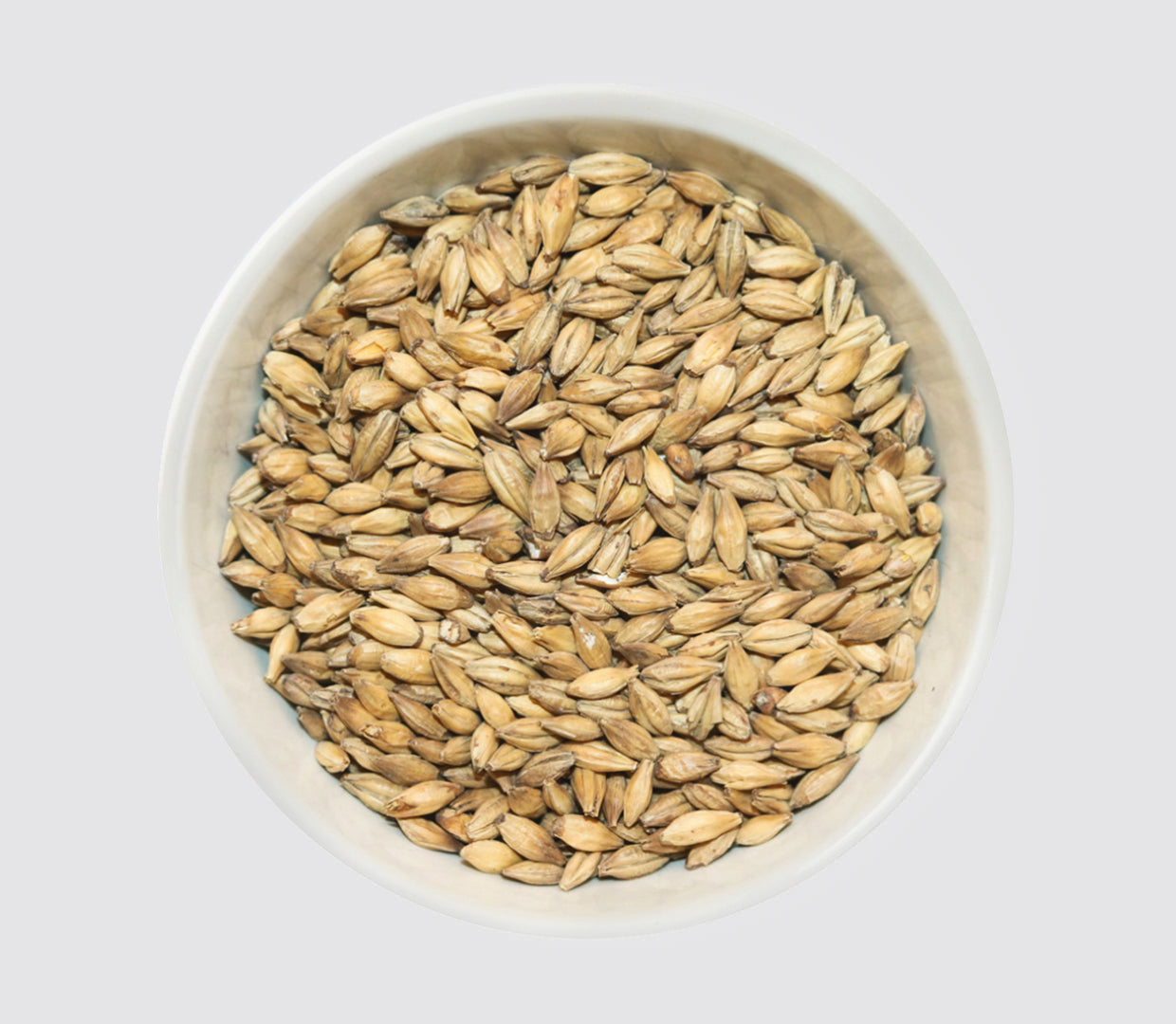 Dextrin Malt – Havoc Brew Supply