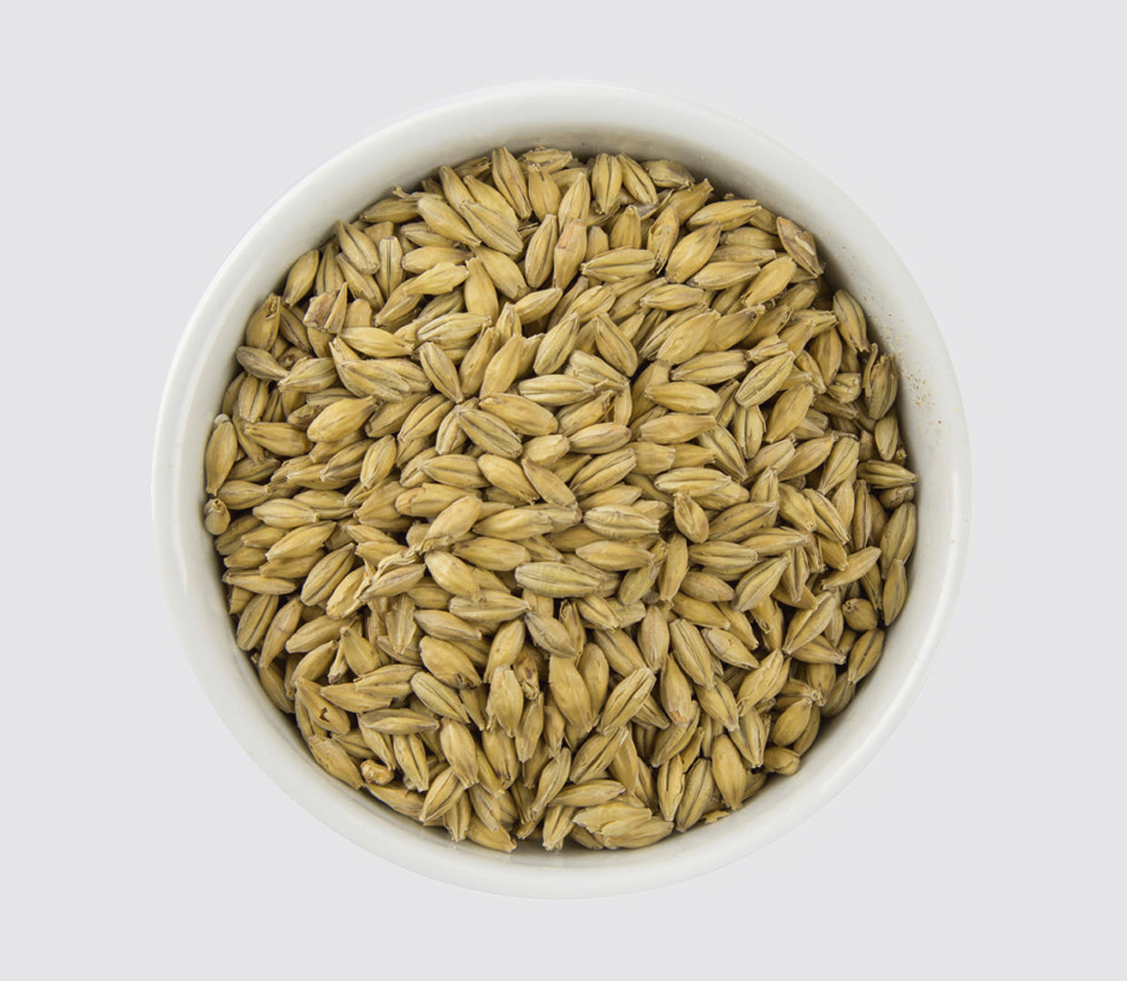 Extra Pale Planet Malt – Havoc Brew Supply