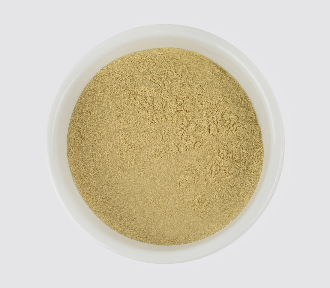 Spraymalt Dark DME – Havoc Brew Supply
