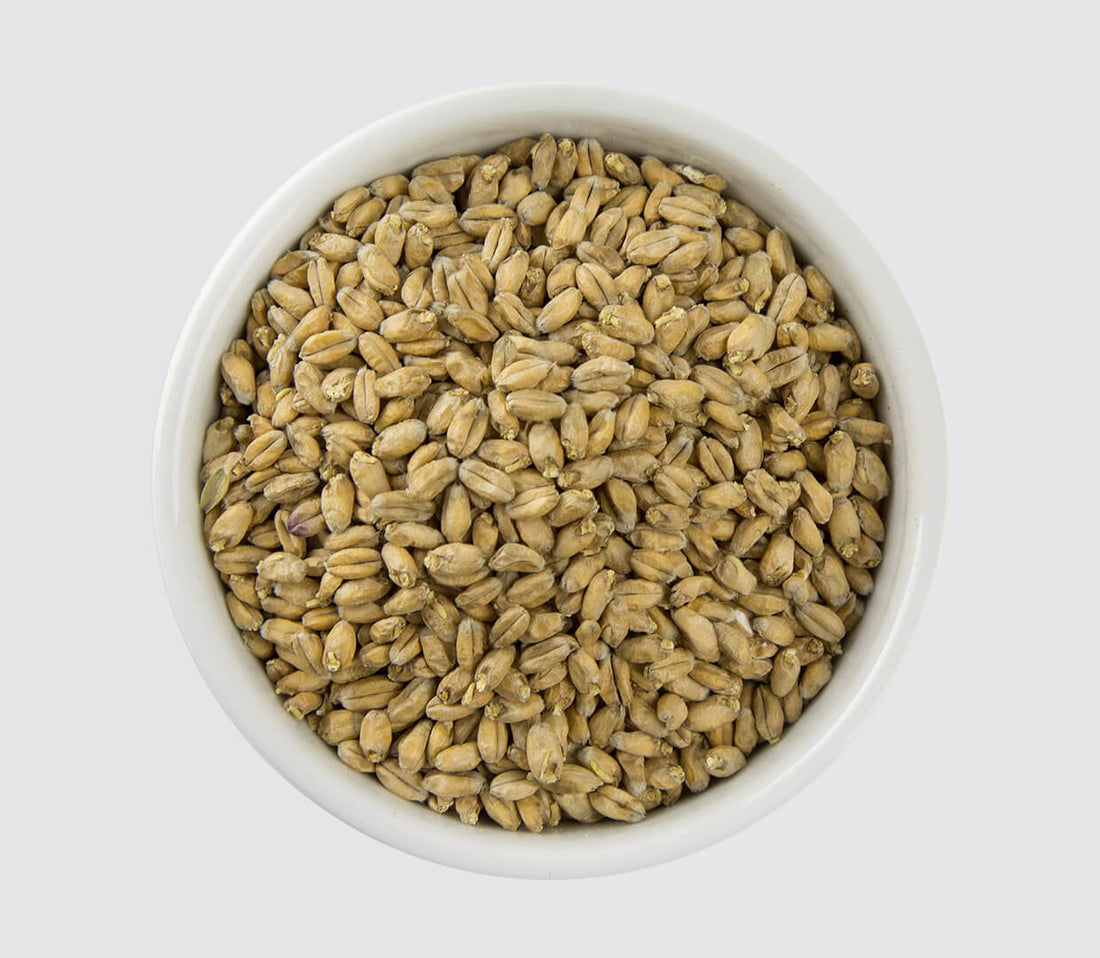 Wheat Malt – Havoc Brew Supply