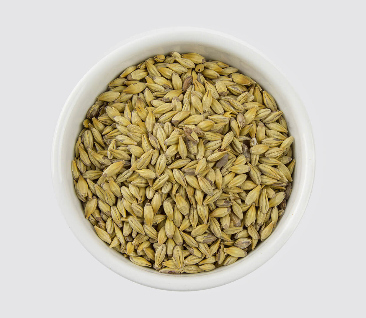 Cara Malt 10 – Havoc Brew Supply
